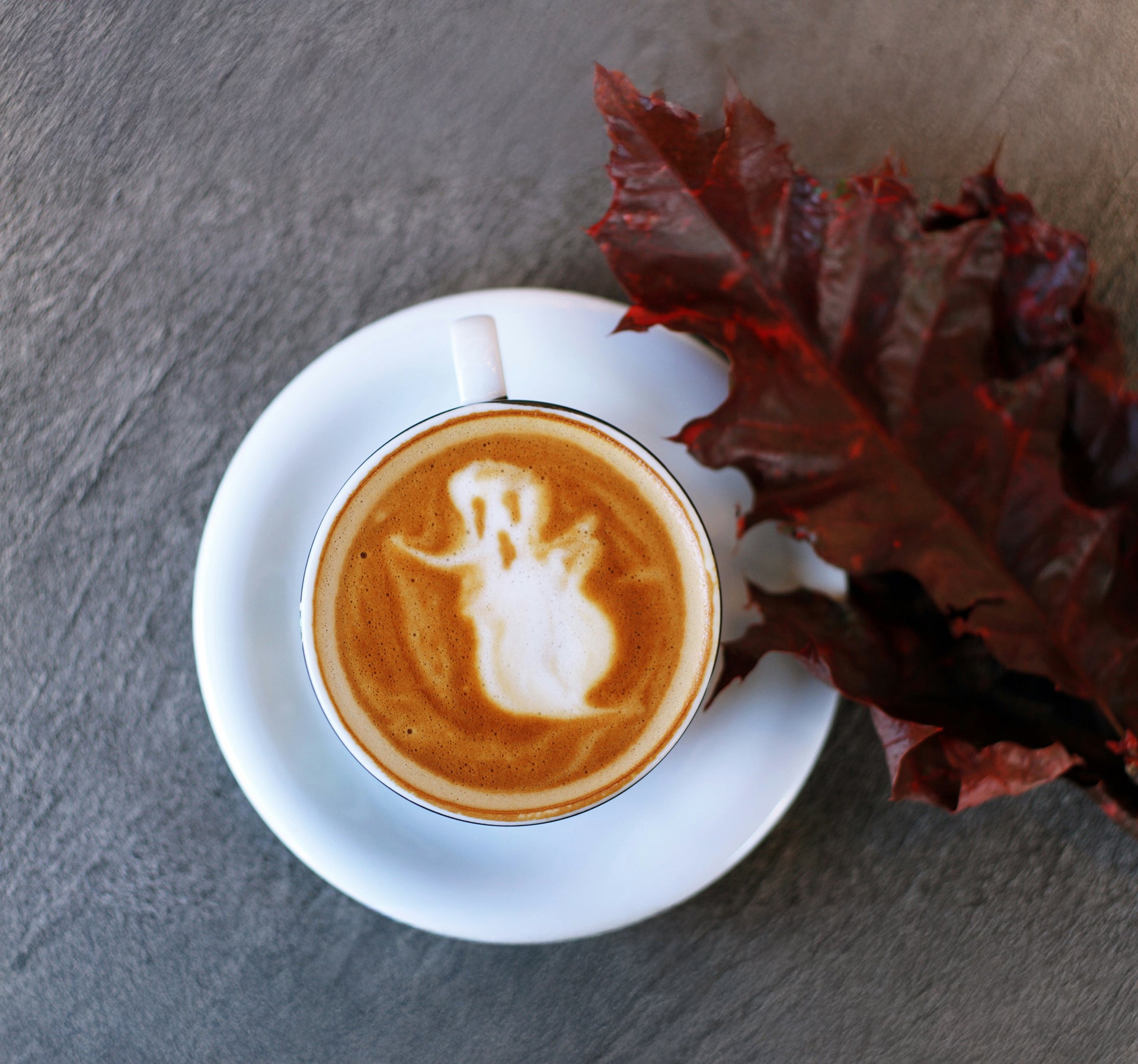 Love Coffee? A Guide to Becoming a Coffee Connoisseur – Taylor Lane